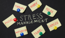 Why Stress Management is Important | Evolve Counseling Services